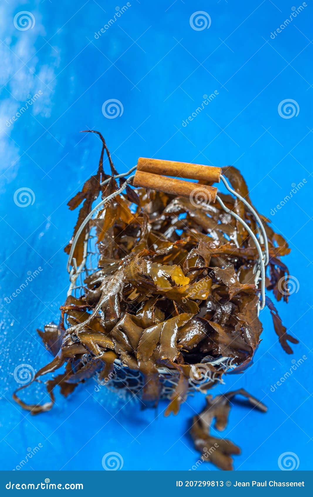 Algae, a Source of Health Benefits Stock Image - Image of antioxidant ...