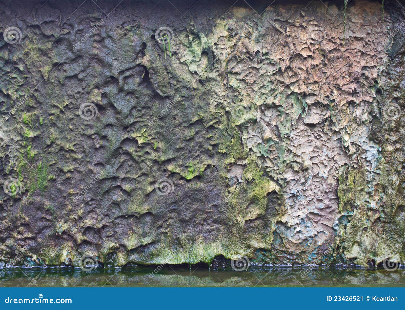Algae stains. stock image. Image of dirt, ecology, dirty - 23426521