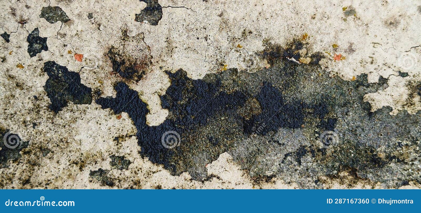 Algae Stains on the Cement Wall. Stock Photo - Image of dirty ...
