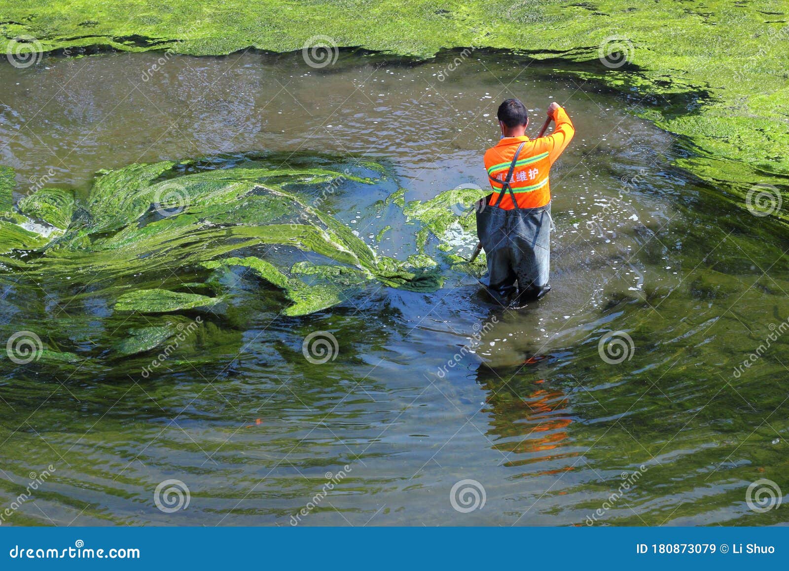 Algae Sweeper in Watercourse Editorial Stock Image - Image of excess ...