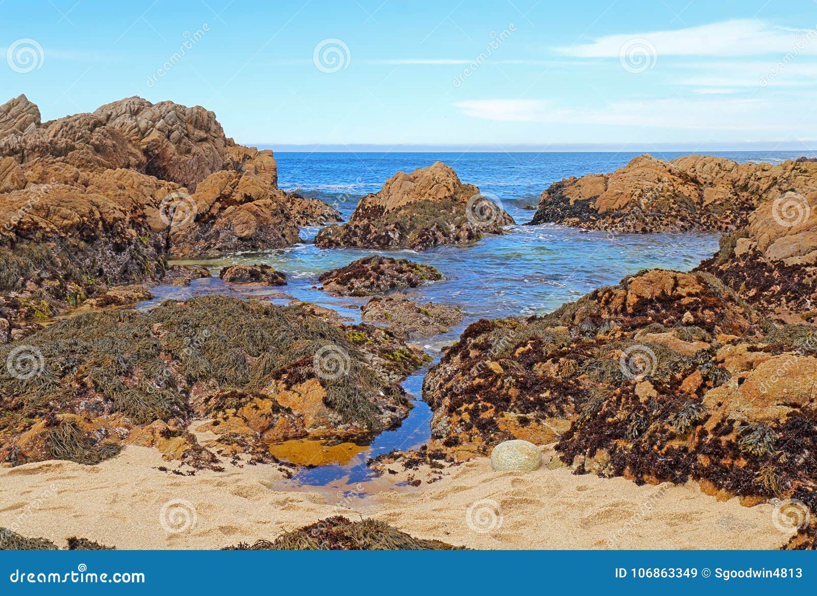 Algae and Tide Pools at Asilomar State Beach Stock Image - Image of ...