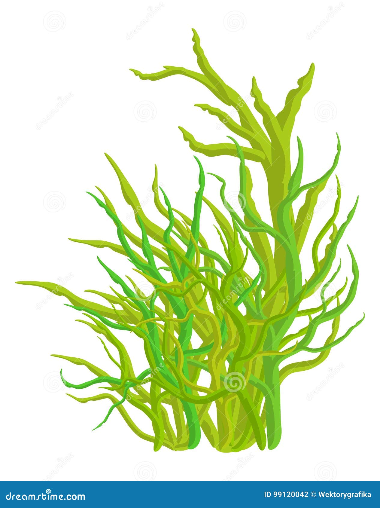 Algae Vector Symbol Icon Design. Beautiful Illustration Isolated Stock ...