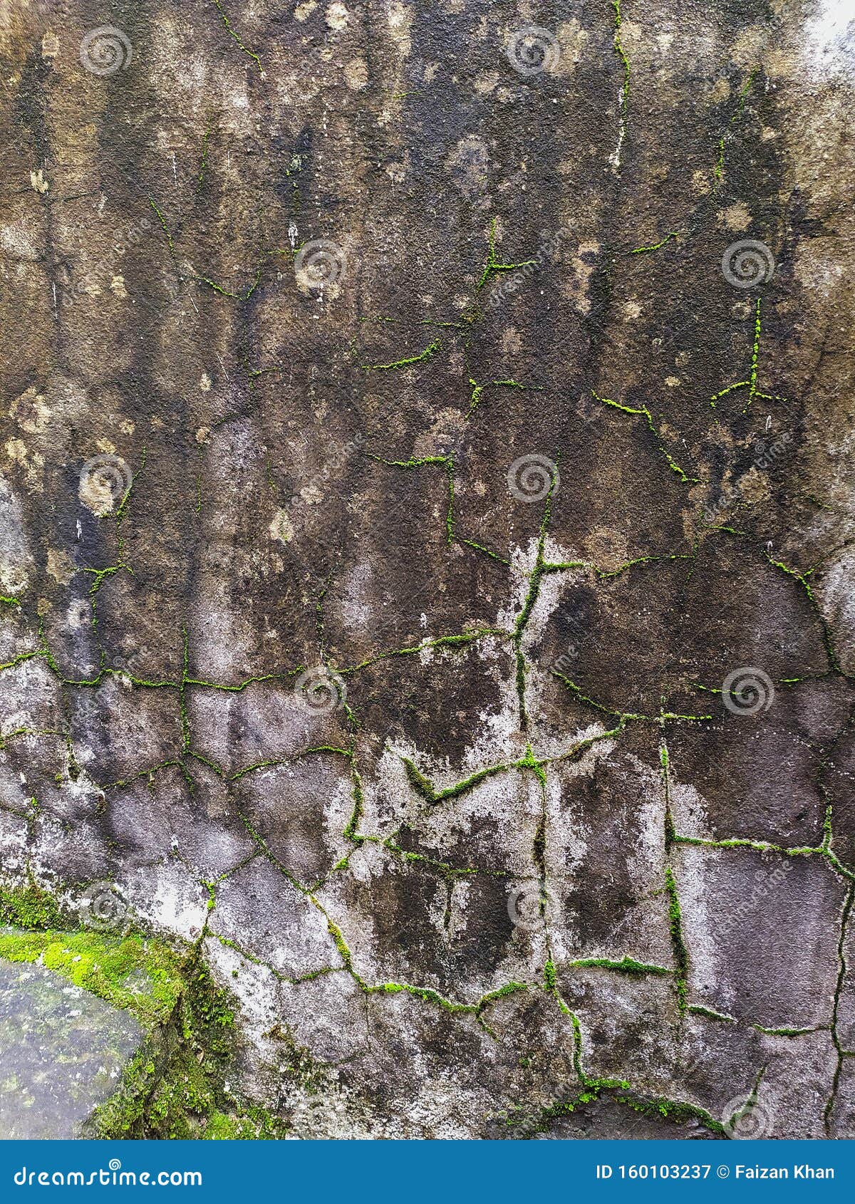 Algae on wall stock image. Image of green, monsoon, effect - 160103237