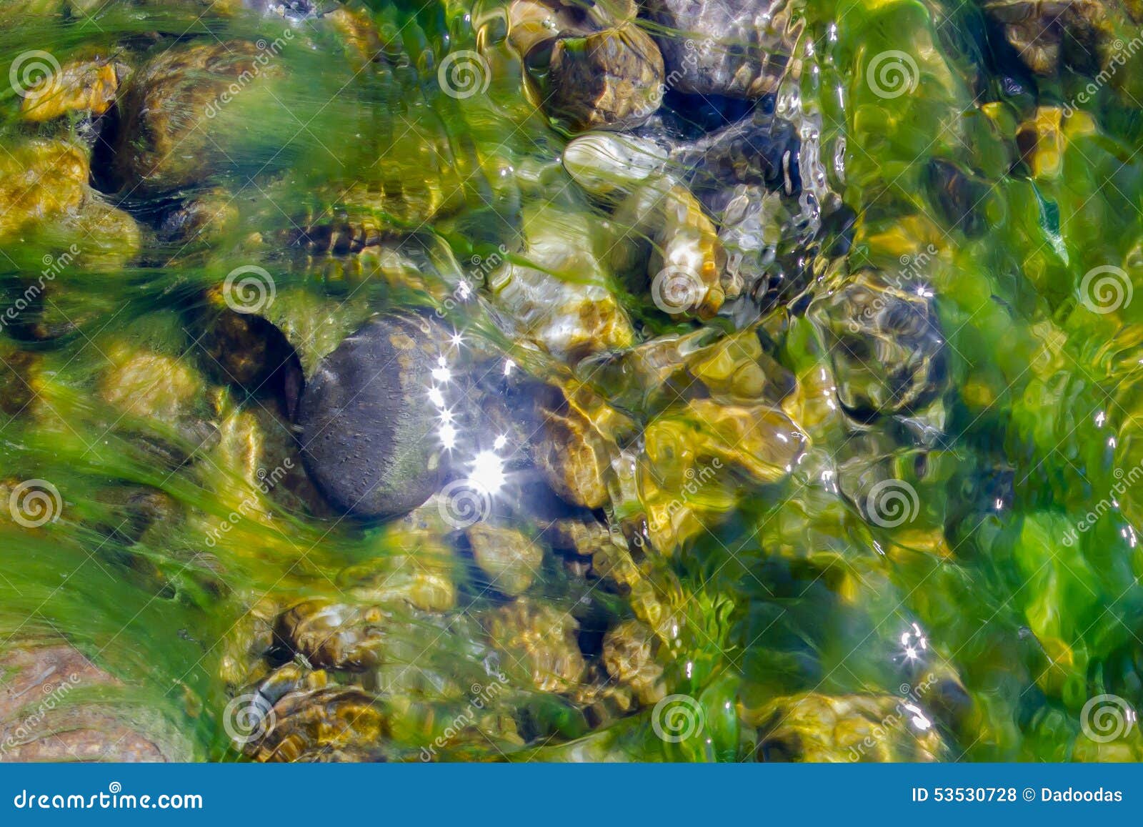 Algae in water stock photo. Image of rock, abstract, wave - 53530728