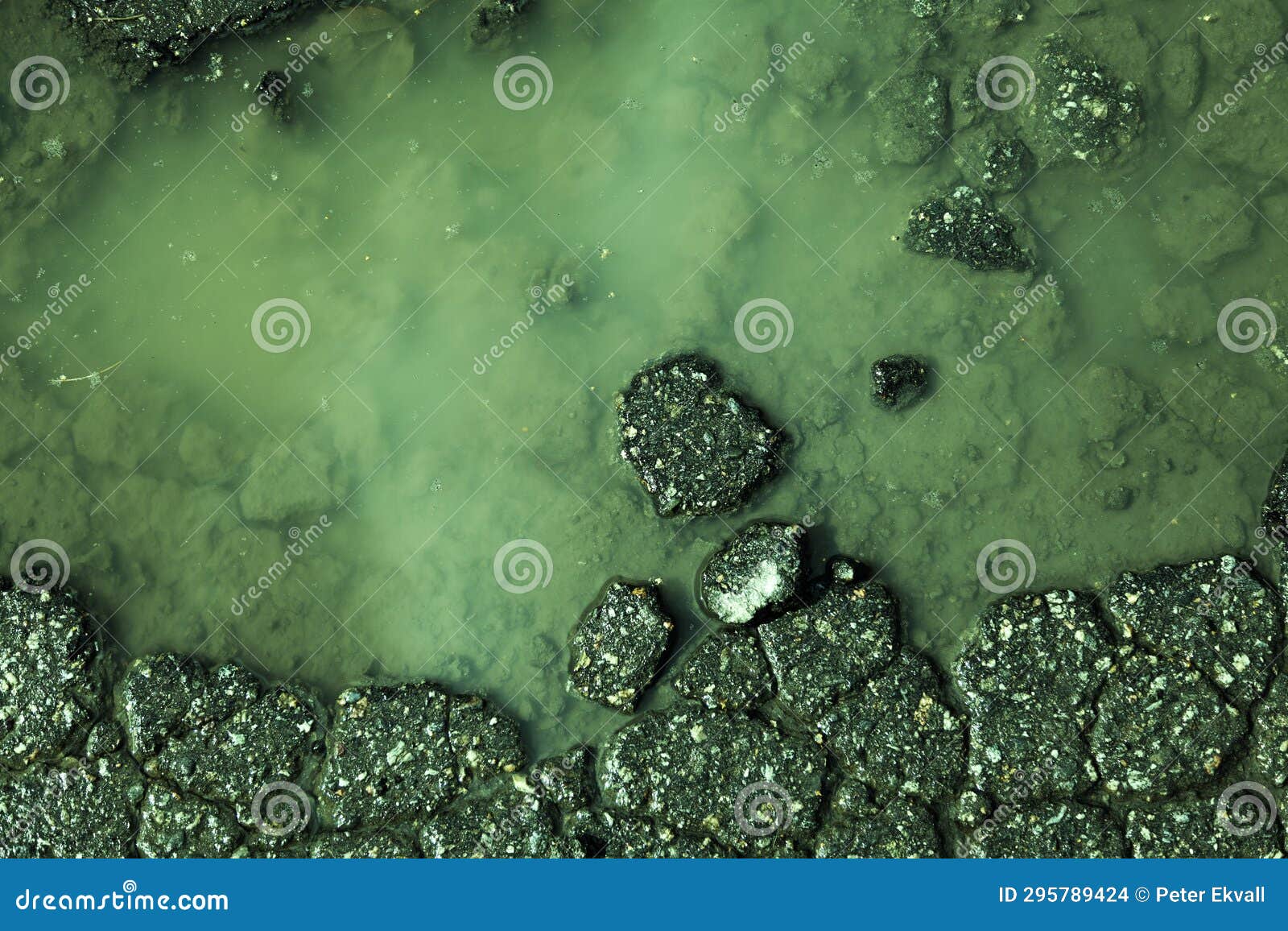 Algae Water Seeping Up and through the Road Surface Stock Photo - Image ...