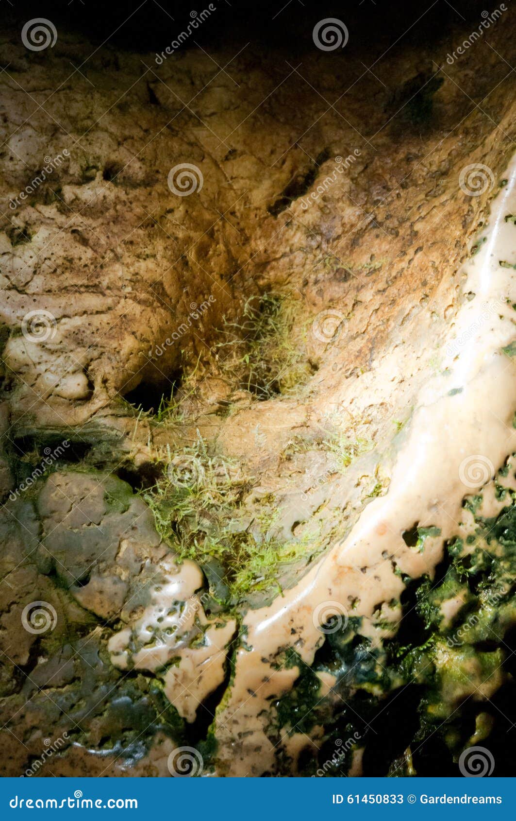 Algas on Flowstone in a Cave Stock Image - Image of algas, exploration ...