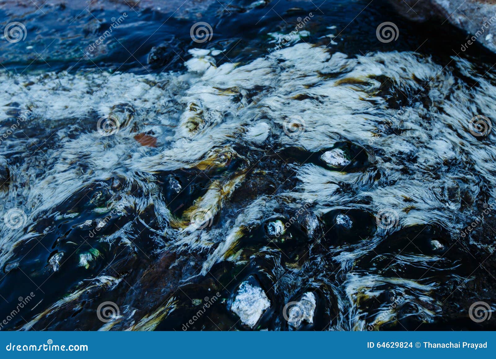 Algas termófilas foto de archivo. Imagen de rojo, horizontal - 64629824