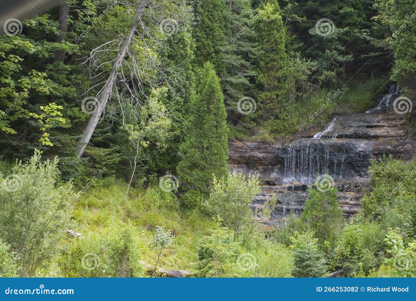 Alger Falls Near Munising, Michigan Stock Photo - Image of waterfall ...
