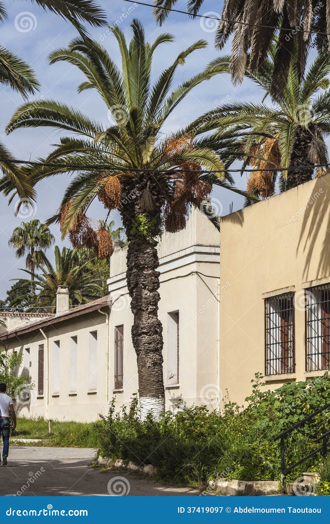 Algiers stock image. Image of arabian, park, building - 37419097