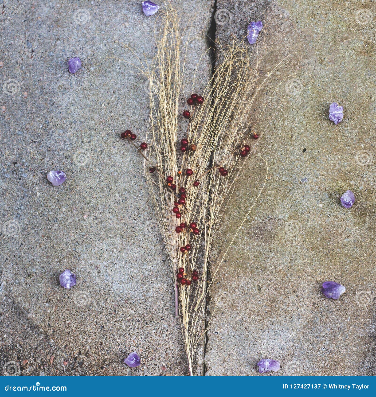 Algiz- Rune Of Protection. Rune Of Prevents Malicious Intrusions By ...