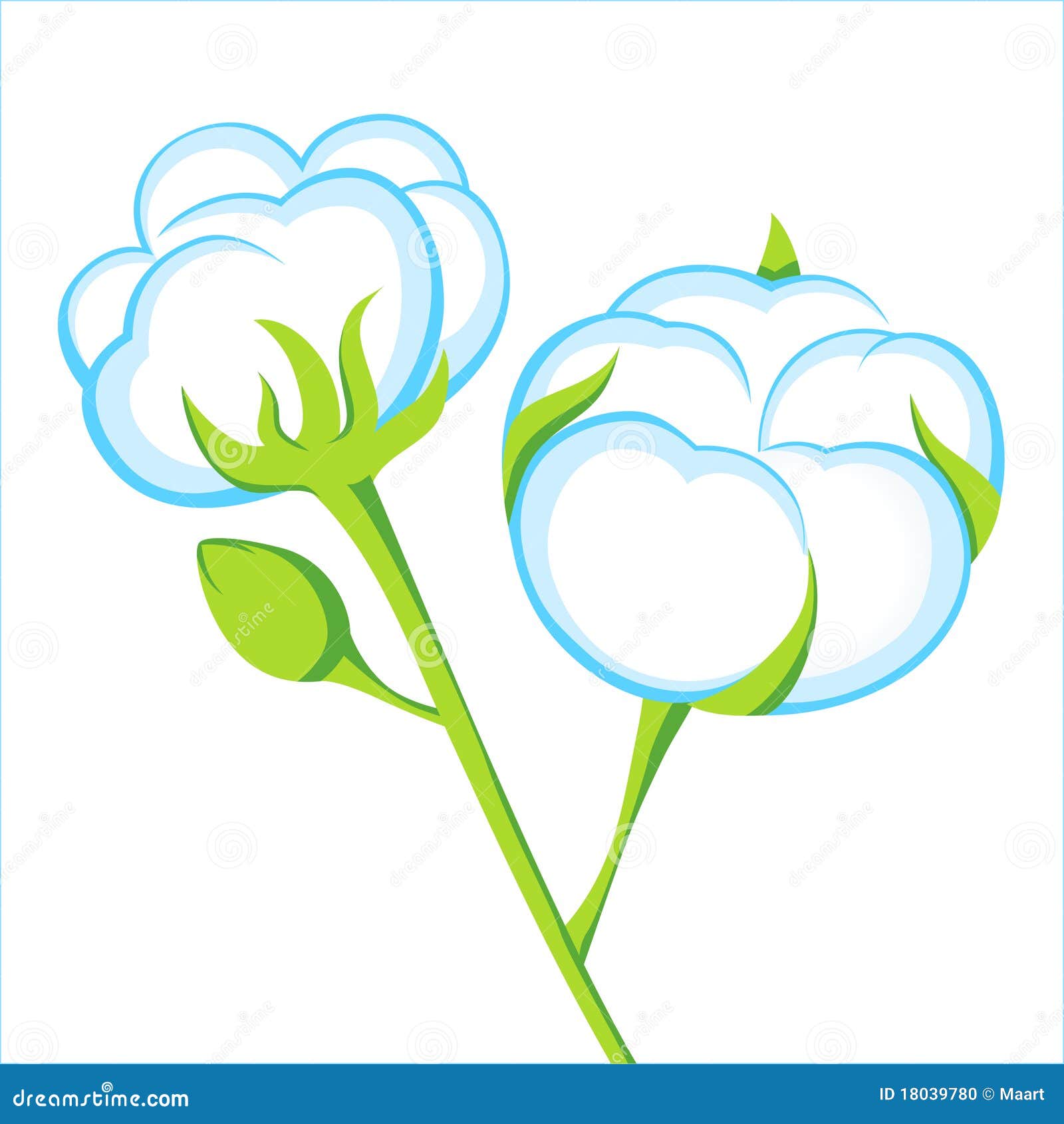 Algodón ilustración del vector. Ilustración de ilustraciones - 18039780