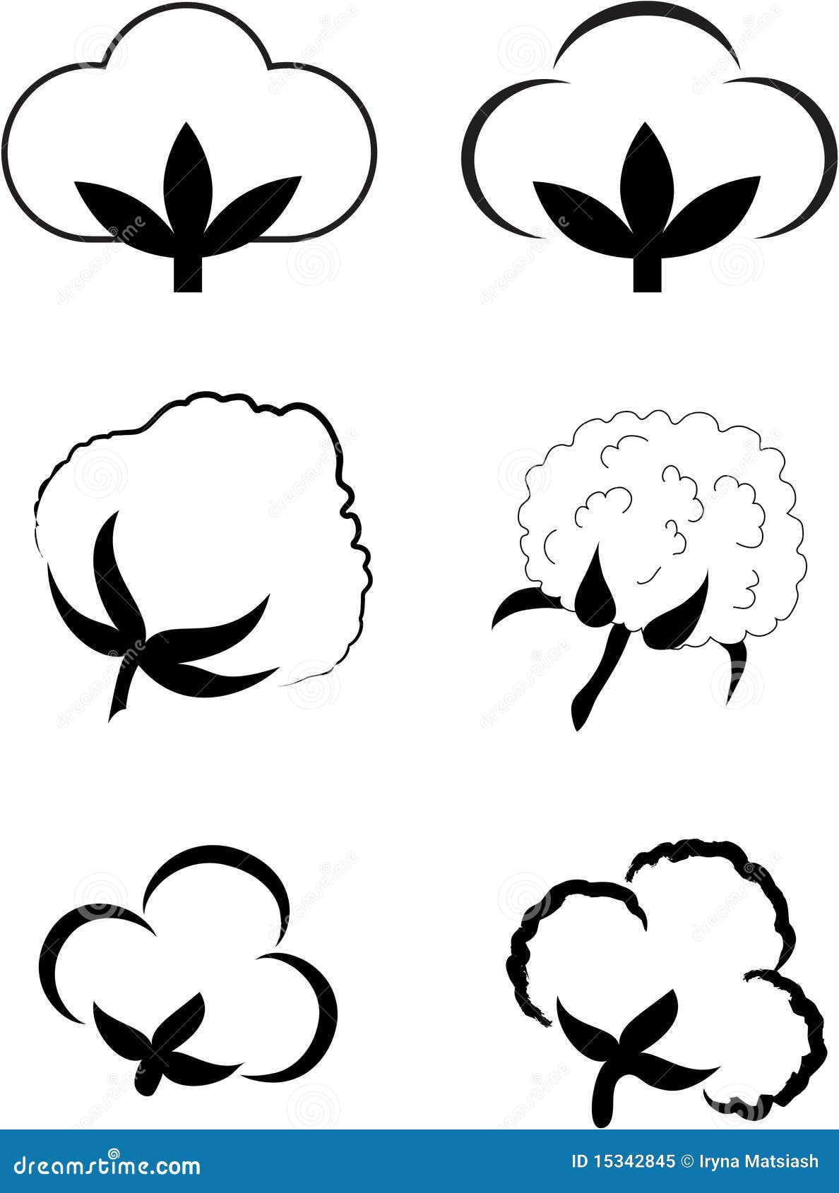 Algodón (Gossypium). ilustración del vector. Ilustración de acortar ...