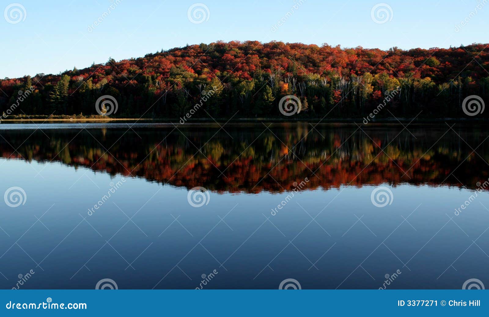 Algonquin Fall Shoreline stock image. Image of green, lake - 3377271