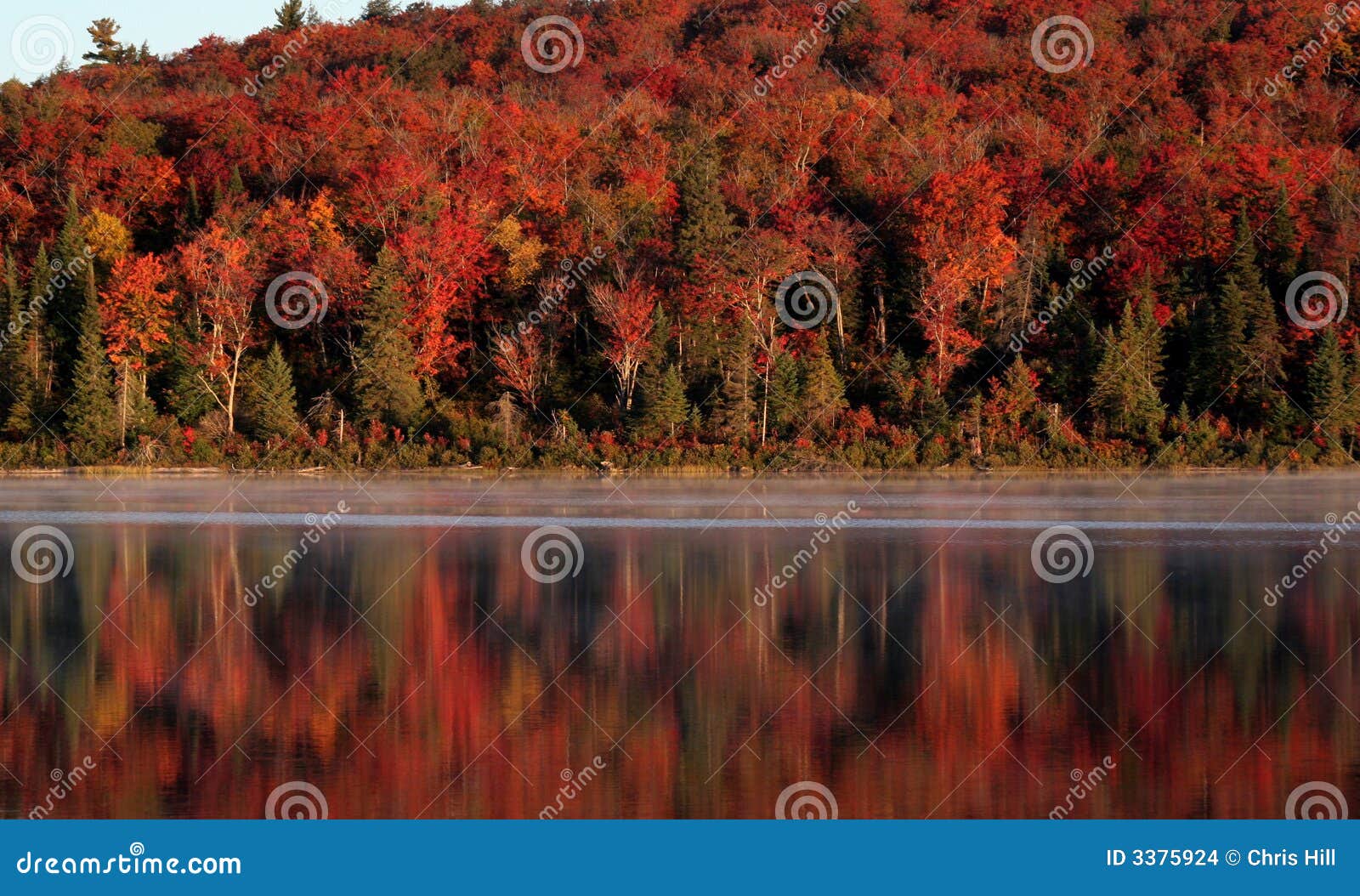 Algonquin Forest Reflection Stock Photo - Image of beauty, algonquin ...