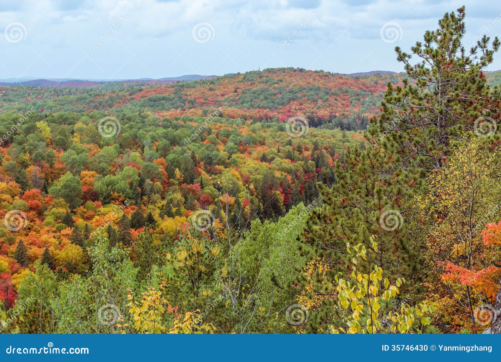 Algonquin National Park during Autumn Stock Photo - Image of fall ...