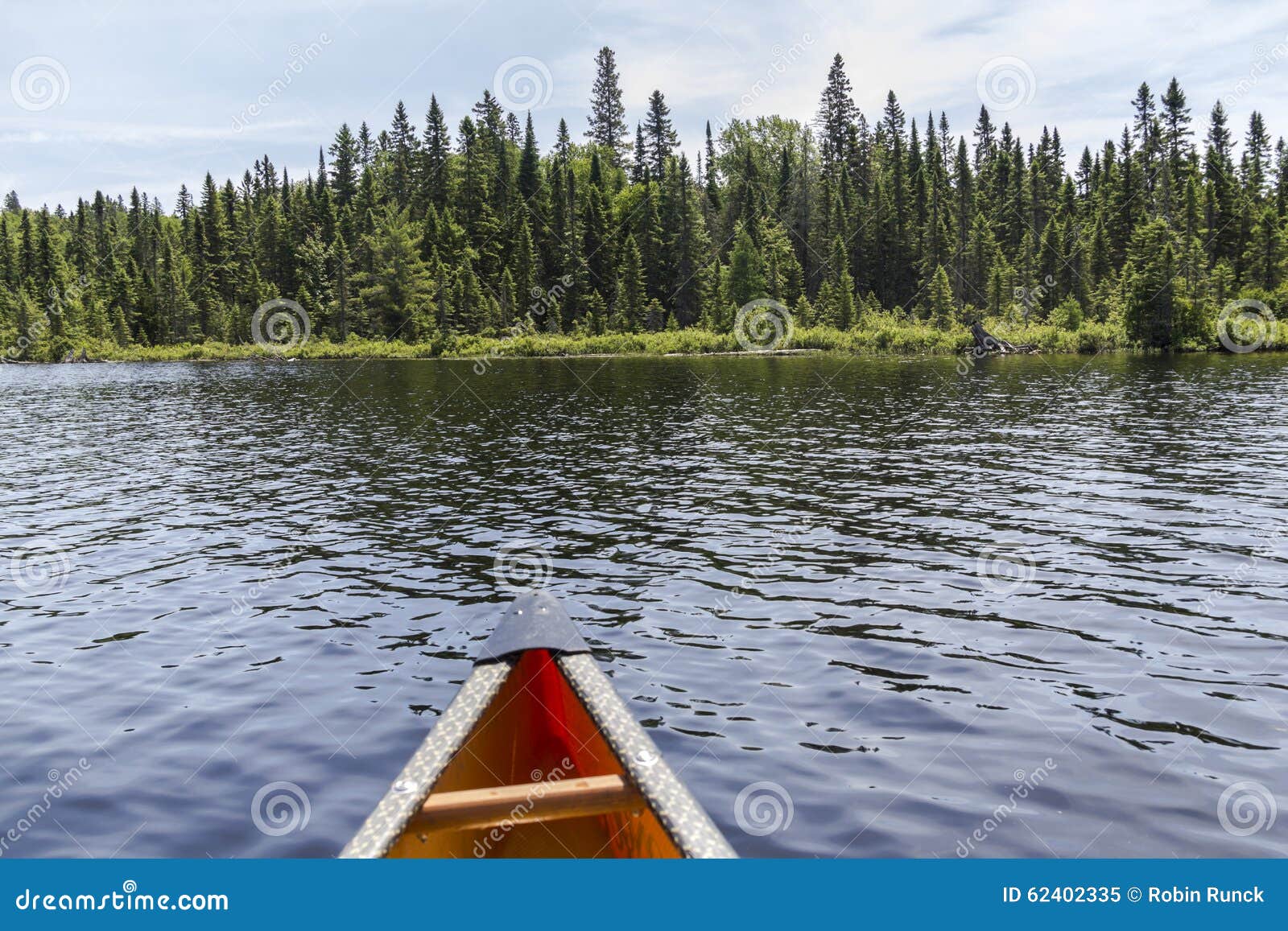 Algonquin Parc Nature in Canada Stock Image - Image of bright ...