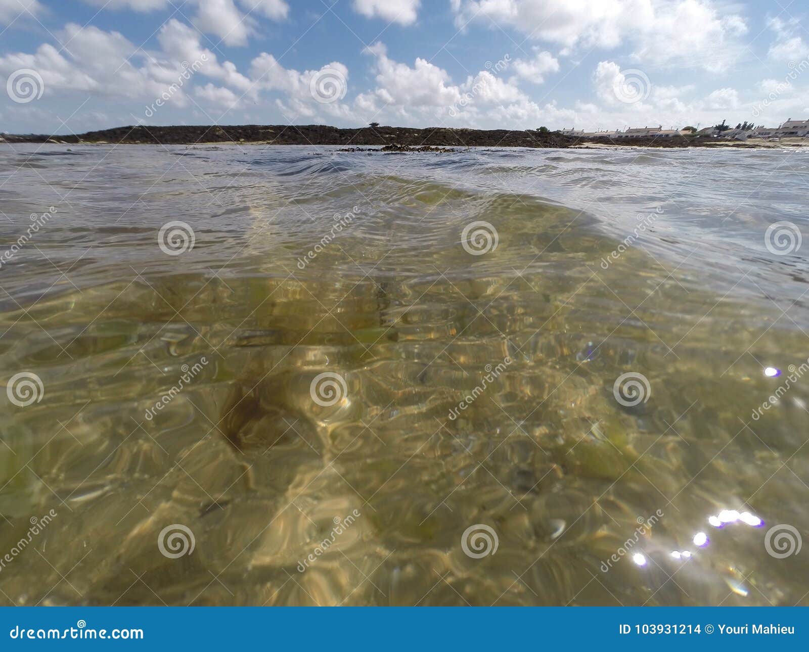 Algue at hide tide stock photo. Image of coast, pollution - 103931214