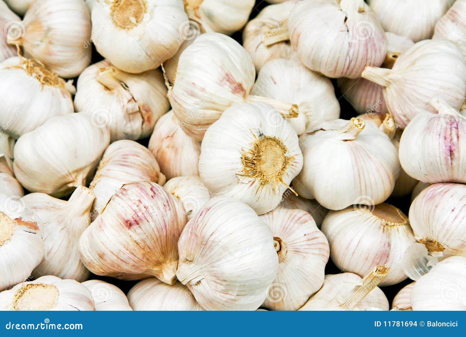 Alho foto de stock. Imagem de tempero, vegetais, alimento - 11781694