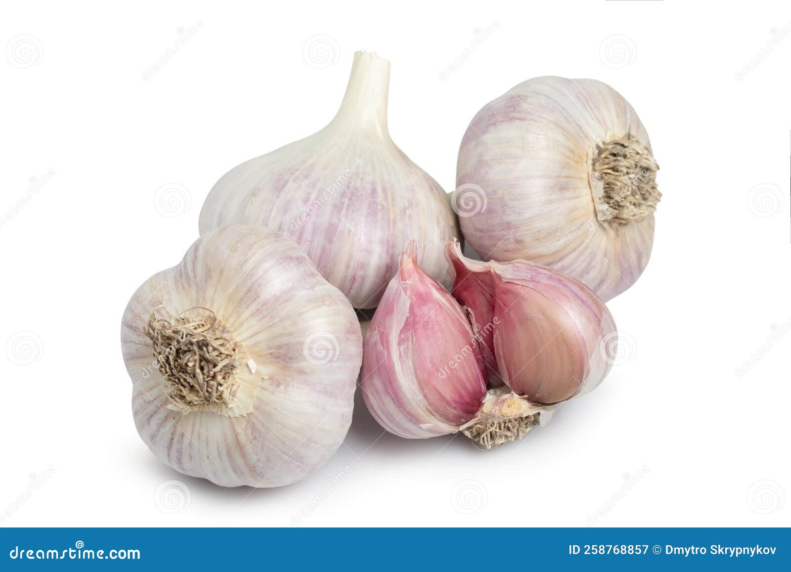 Alho Isolado. Alho Inteiro Cru Isolado Em Fundo Branco Imagem de Stock ...