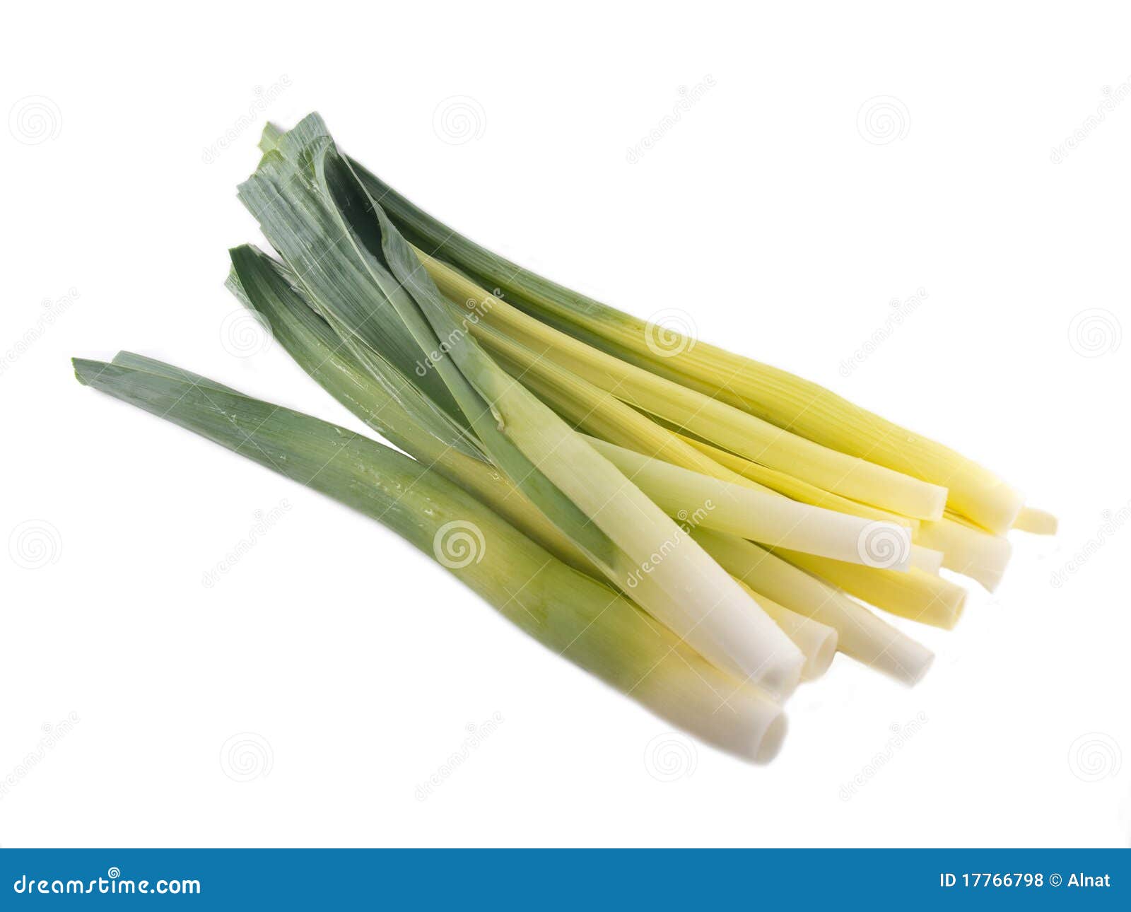 Alho-porro foto de stock. Imagem de grupo, fresco, vegetal - 17766798