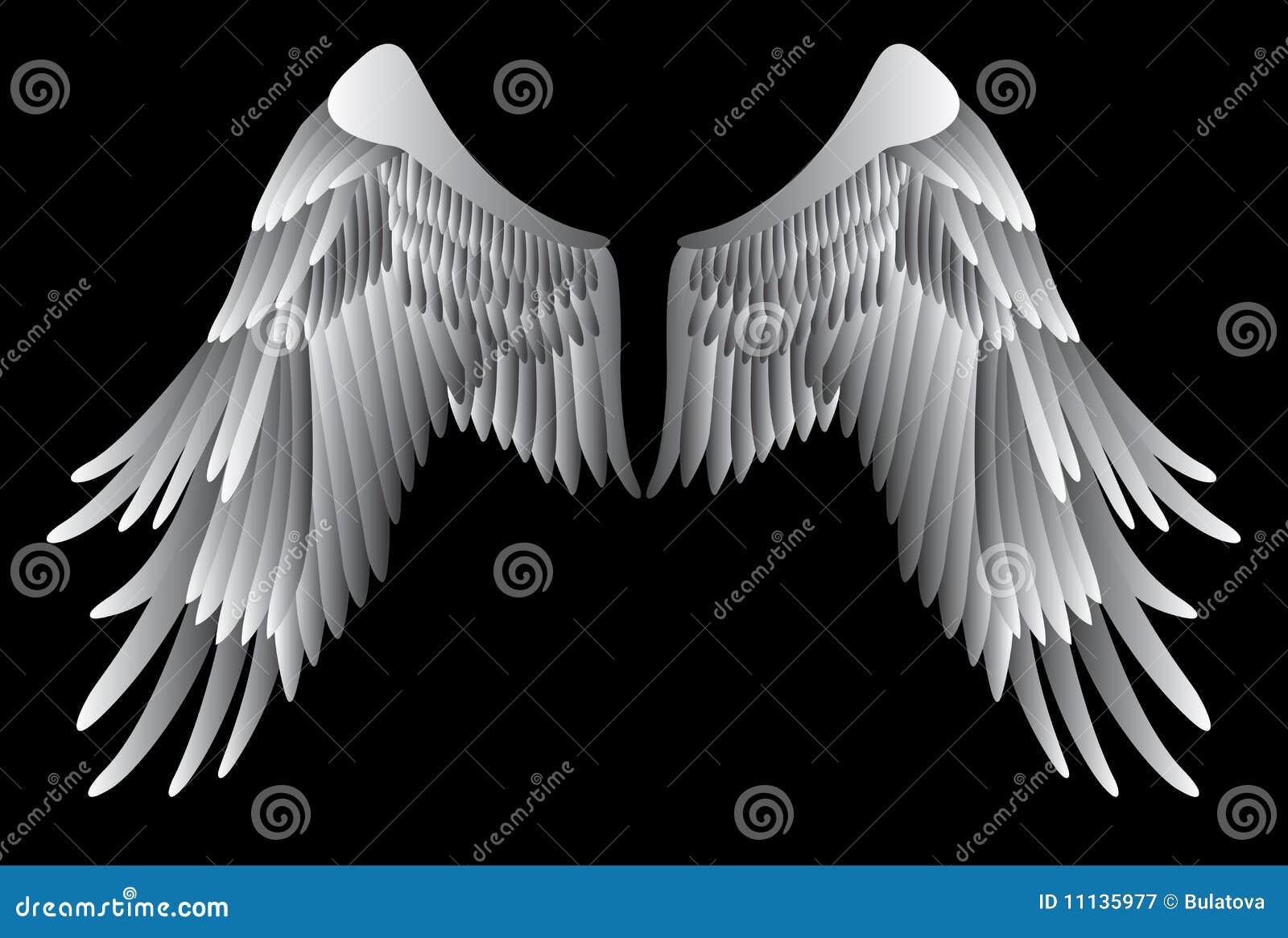 Ali di angelo illustrazione vettoriale. Illustrazione di buon - 11135977