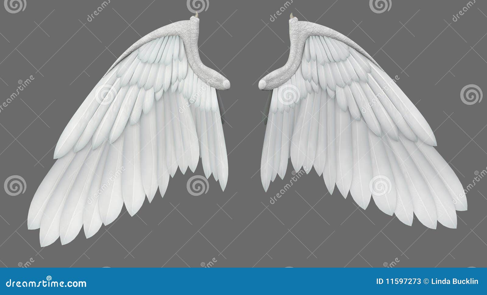 Ali di angelo illustrazione di stock. Illustrazione di isolato - 11597273