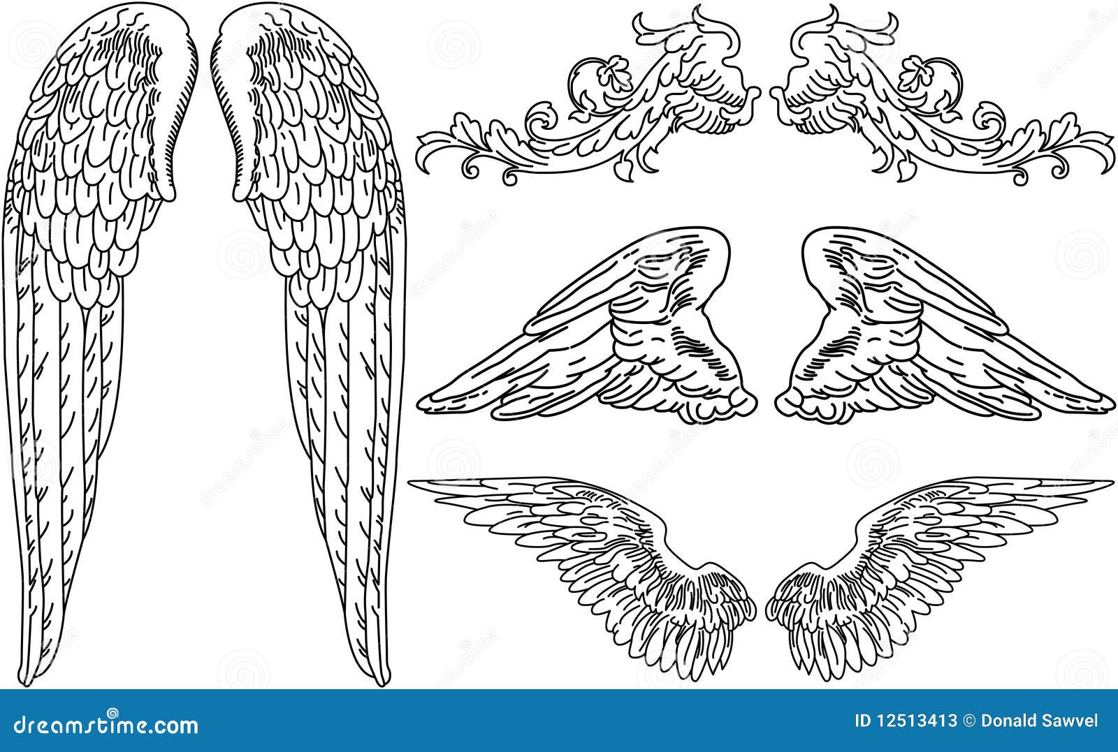 Ali di angelo illustrazione vettoriale. Illustrazione di piuma - 12513413