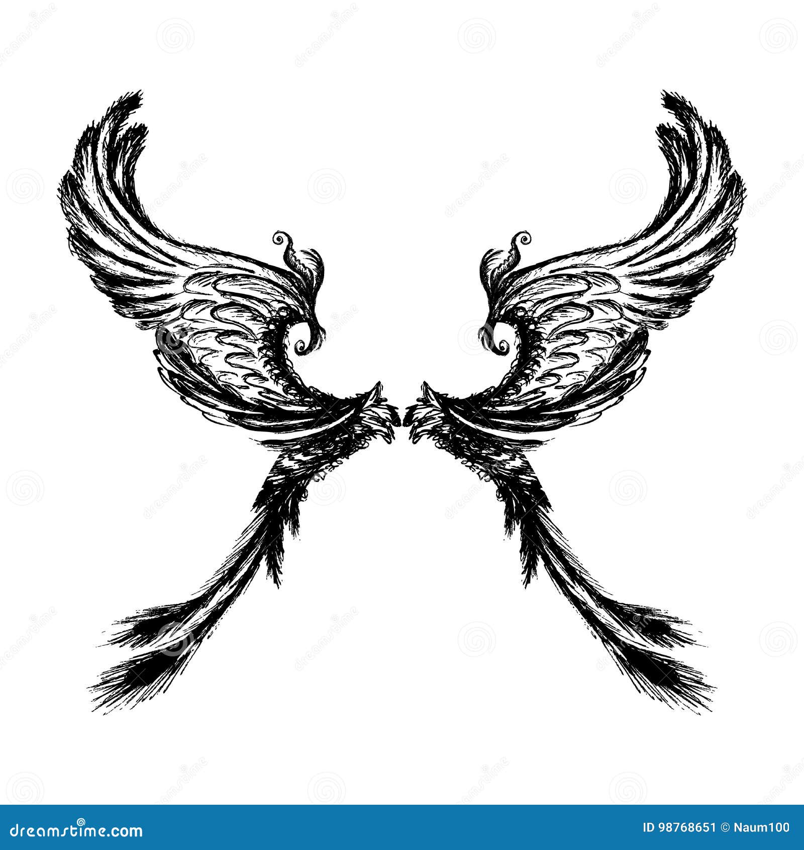 Ali Isolate Su Fondo Bianco, Disegno Della Mano Illustrazione ...