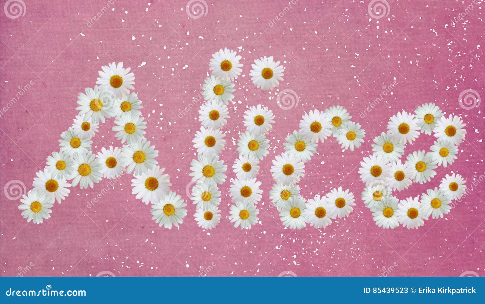 Alice Flower Name ilustração stock. Ilustração de personalizar - 85439523