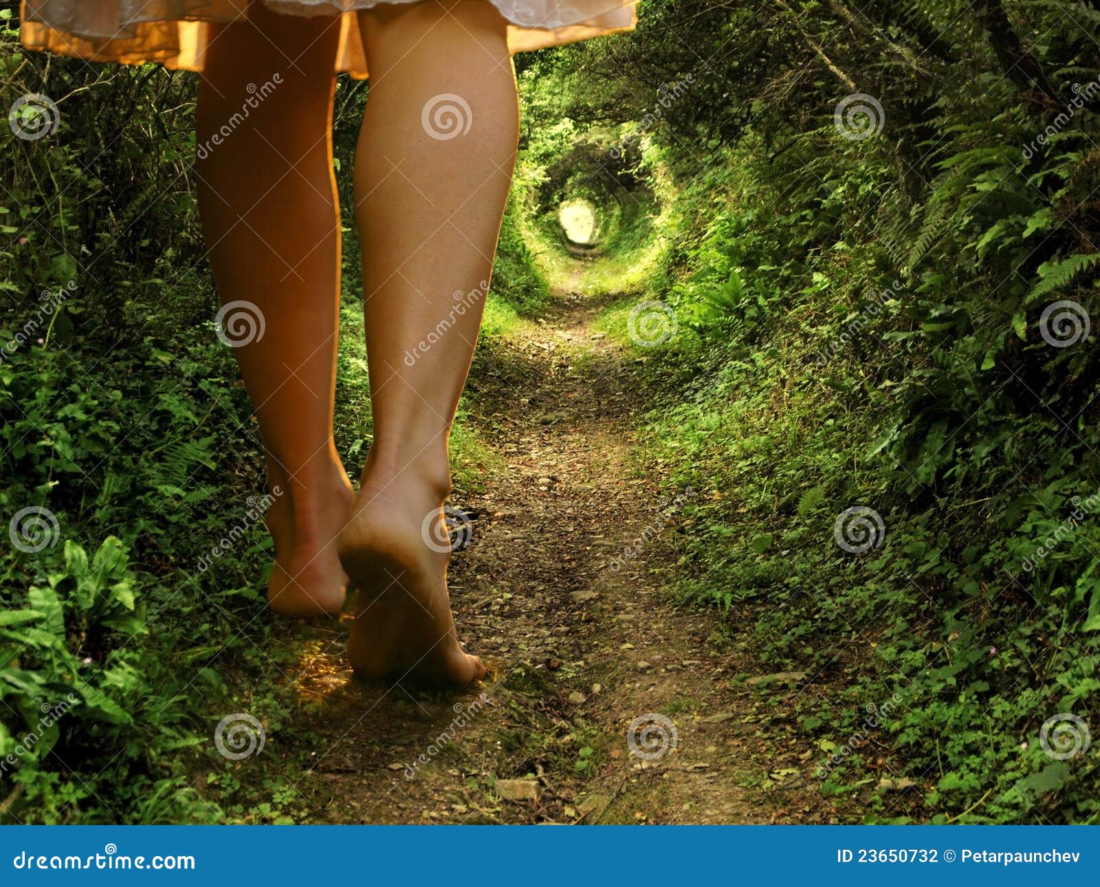 Alice in wonderland stock photo. Image of like, female - 23650732