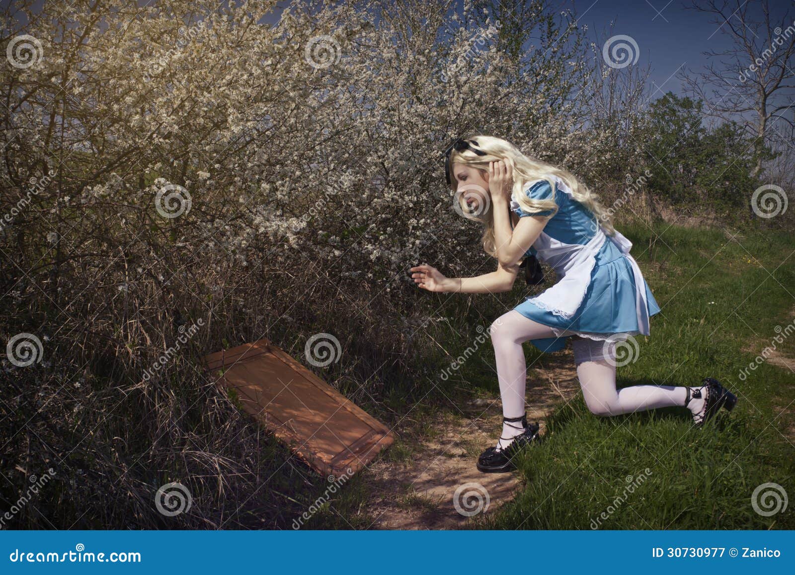Alice In Wonderland Stock Image Image Of Brunette Cute 30730977