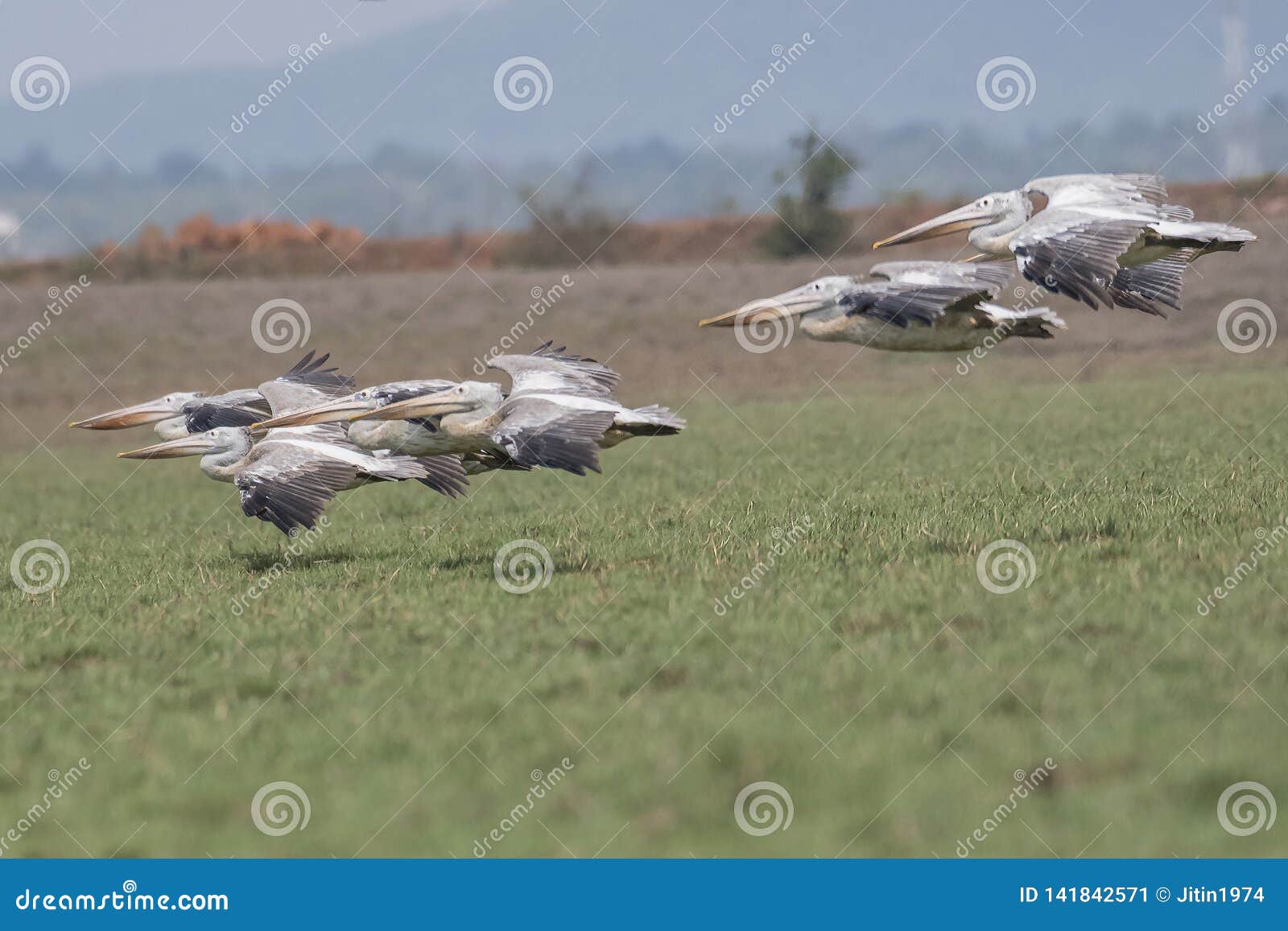Alien Attack stock image. Image of formation, group - 141842571