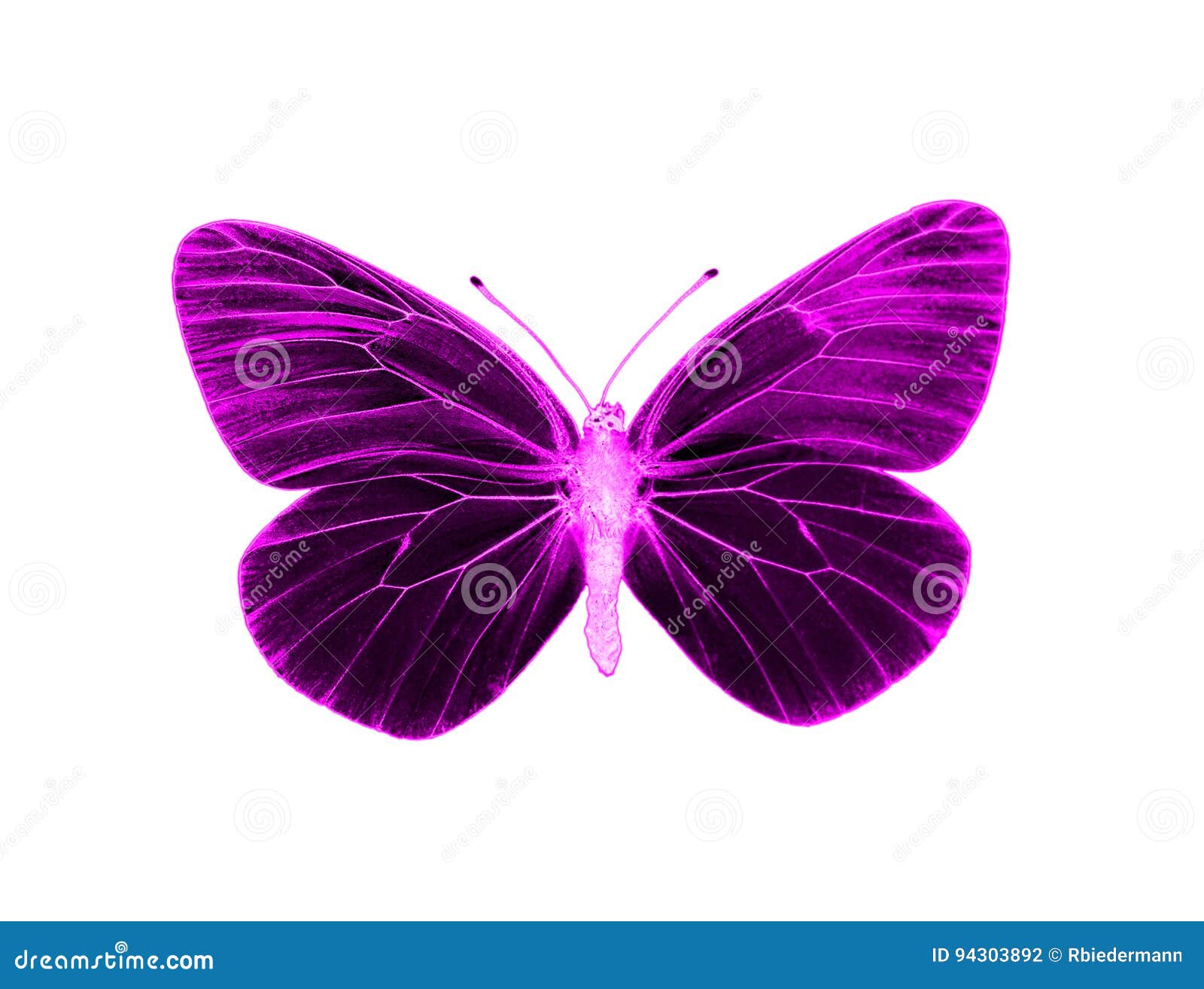 Alien butterfly stock photo. Image of insect, moth, collage - 94303892