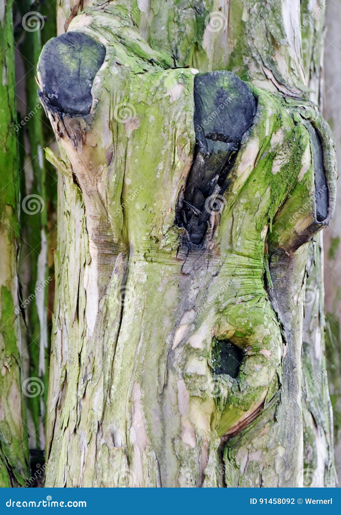 Alien stock photo. Image of decorative, look, background - 91458092