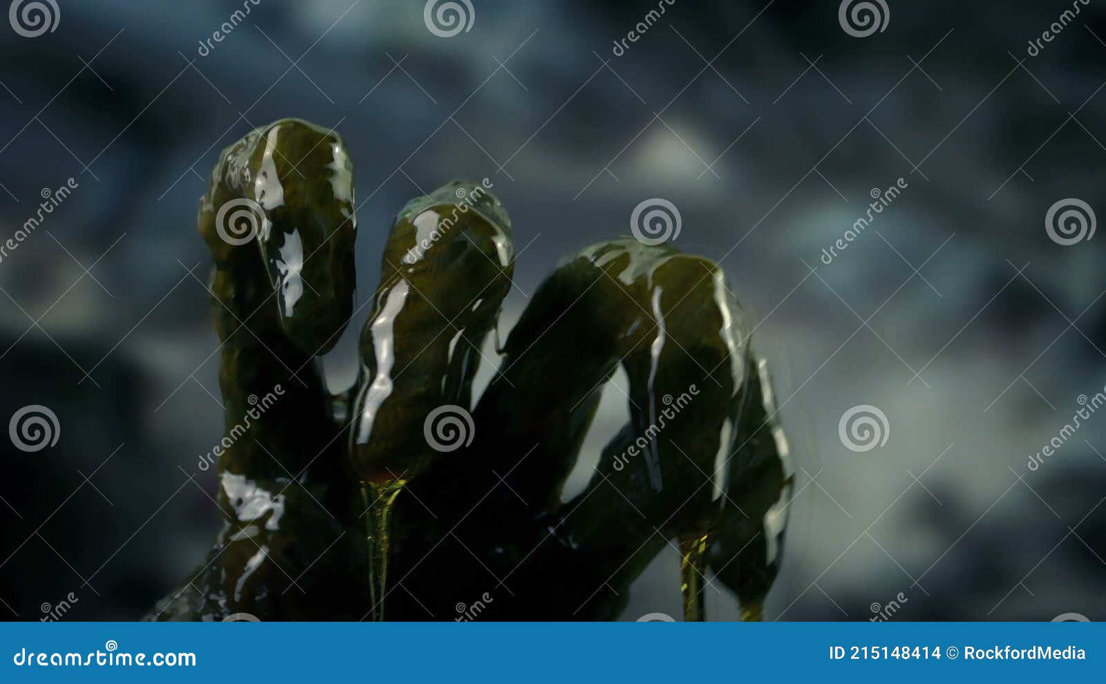 Alien Creature Starts To Move in Laboratory Stock Footage - Video of ...