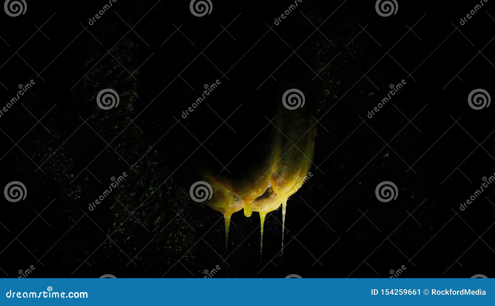 Slimy Alien Egg Lit Up from Below Stock Video - Video of drips, night ...