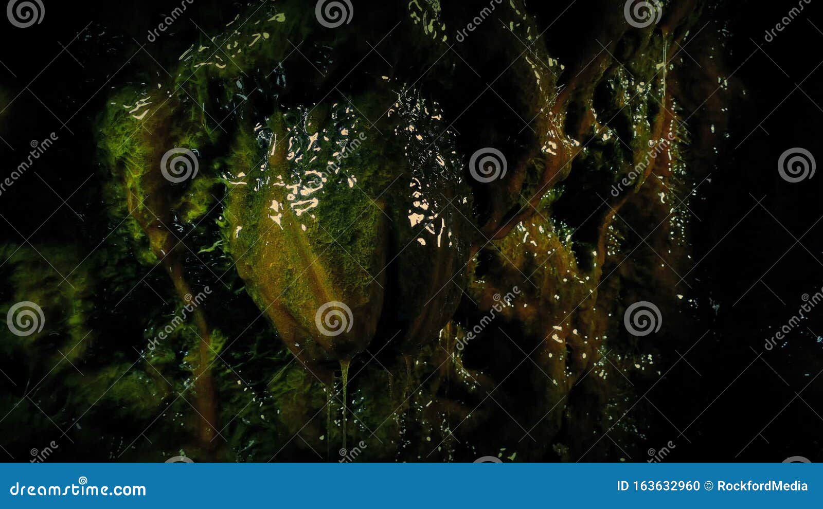 Slime Dripping Alien Egg Hanging Off Wall Stock Footage - Video of ...