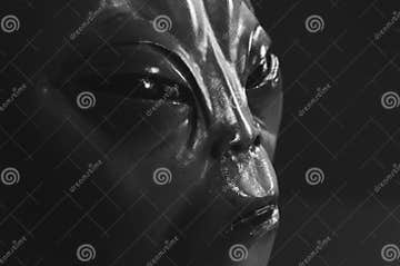 Alien face stock image. Image of face, body, details - 46501837