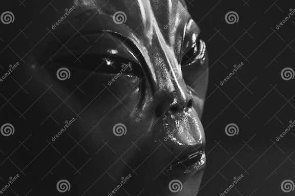 Alien face stock image. Image of face, body, details - 46501837