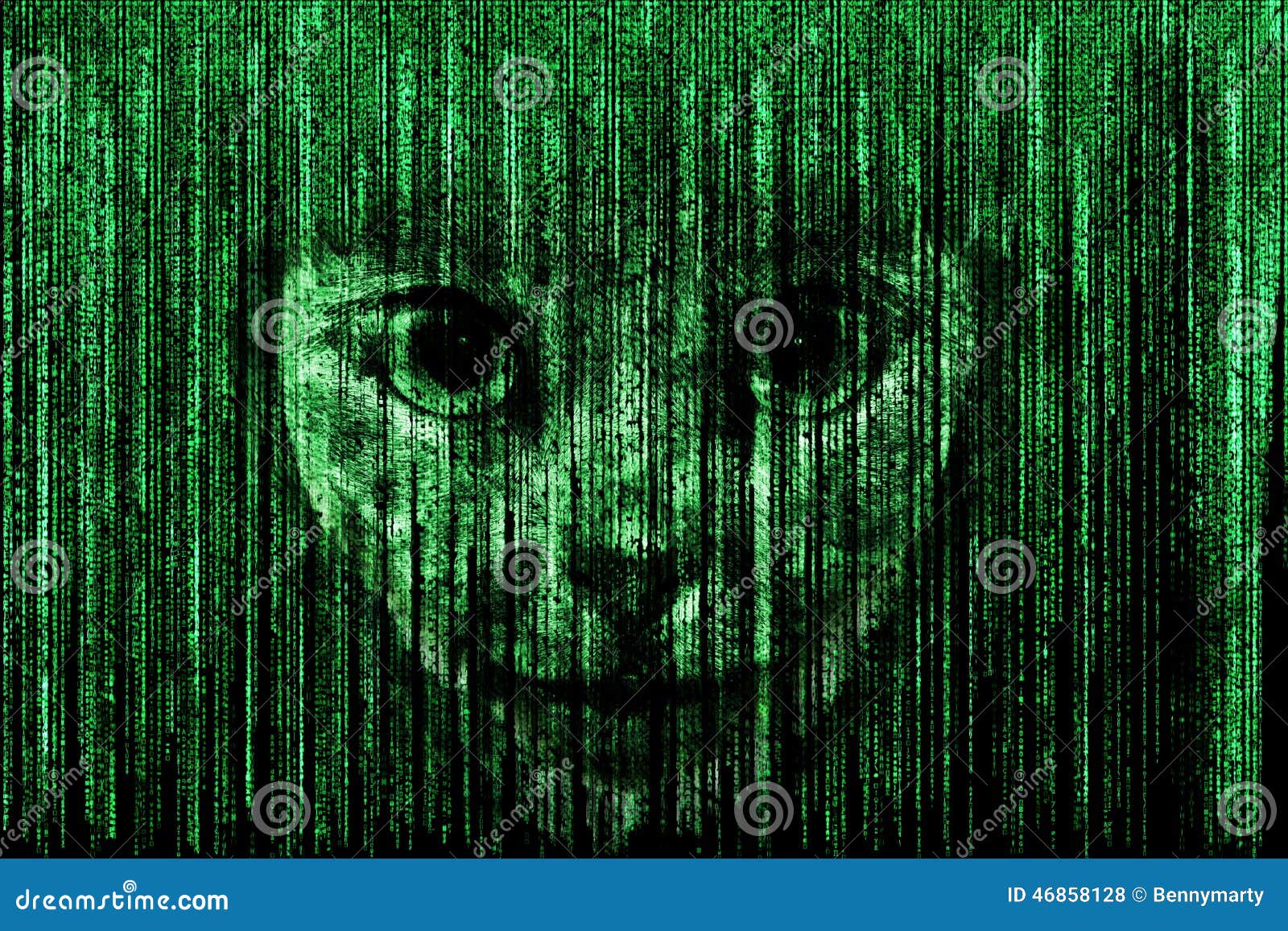 Matrix Face Stock Photo | CartoonDealer.com #46858128