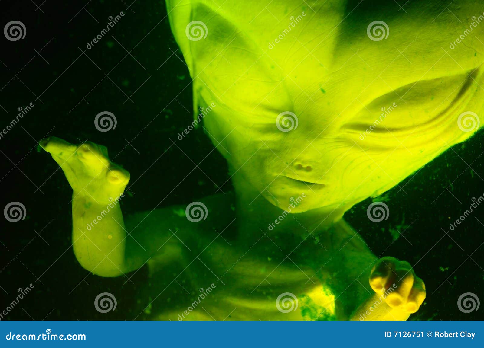 Alien Fetus stock image. Image of womb, frigtening, monsterous - 7126751