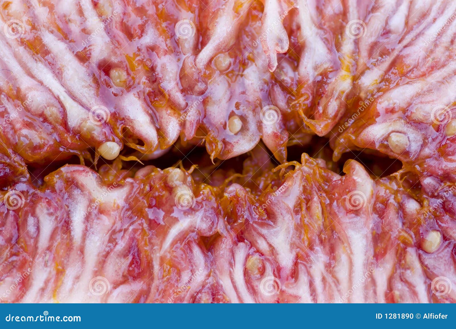 Alien Monster Mouth Stock Photography | CartoonDealer.com #1281890