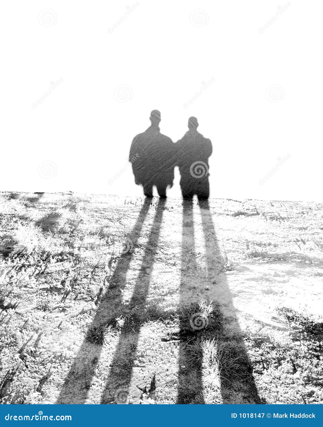 Alien Shadows stock image. Image of silhouette, bald, black - 1018147