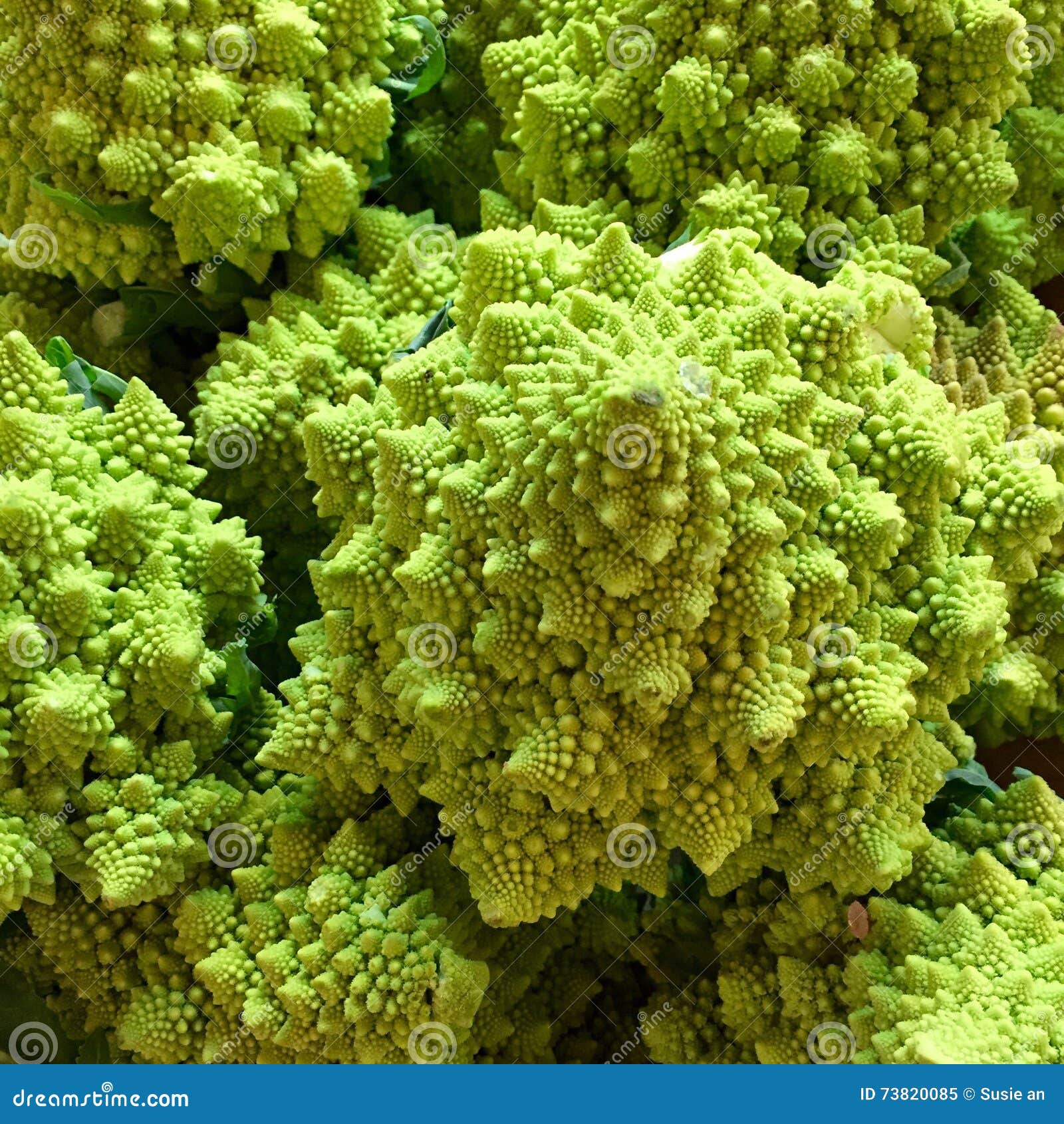 Alien vegetables stock image. Image of green, broccoli - 73820085