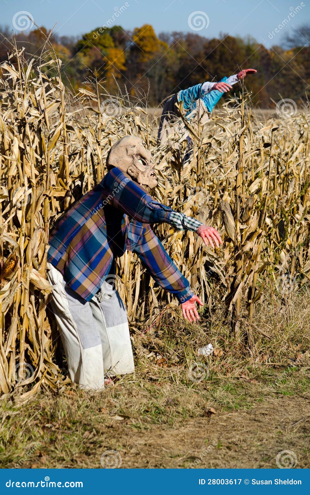 Aliens and Haunted Corn Maze Stock Image - Image of frighten, scary ...