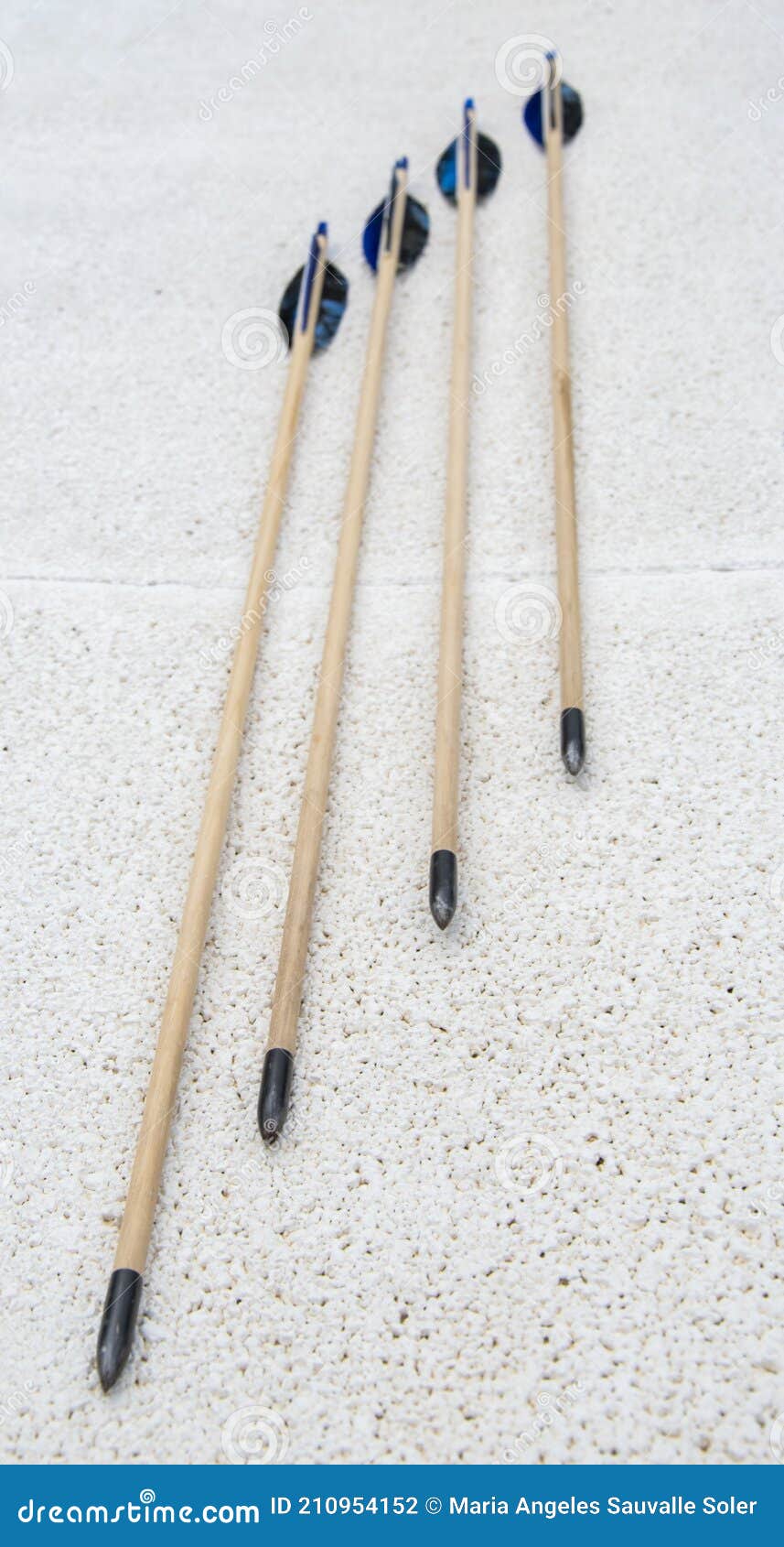 Aligned arrows. stock photo. Image of sport, four, line - 210954152