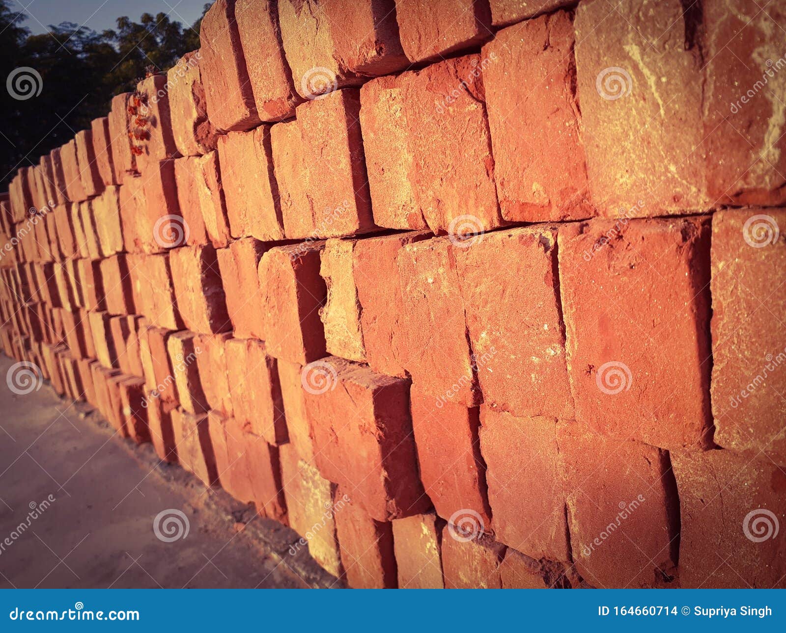 Alignment of bricks stock photo. Image of construction - 164660714