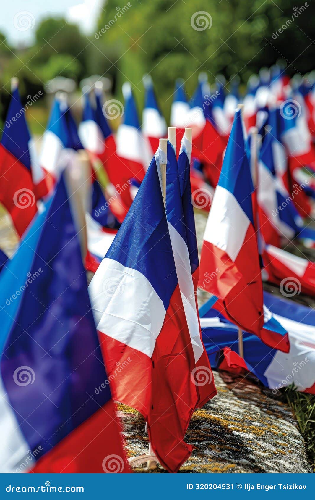 Alignment of Multiple French Flags in a Row Showcasing Patriotic ...