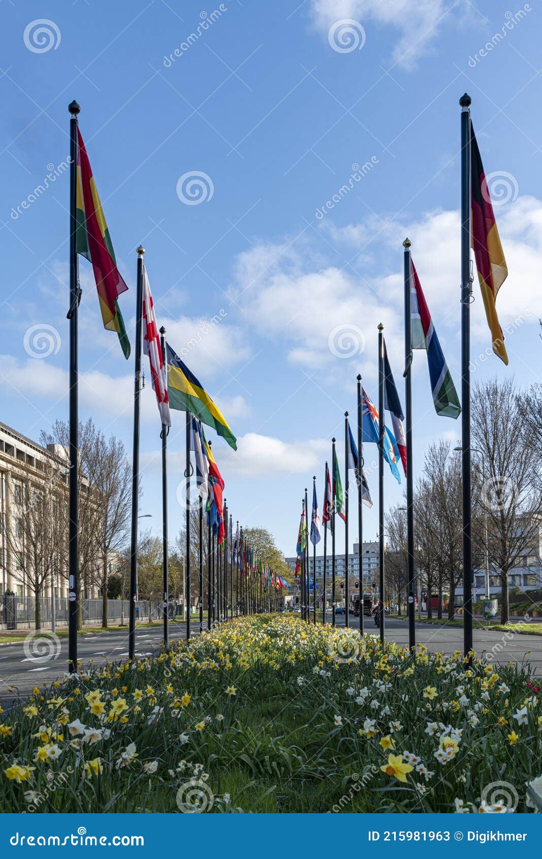 Alignment of world flags stock image. Image of city - 215981963