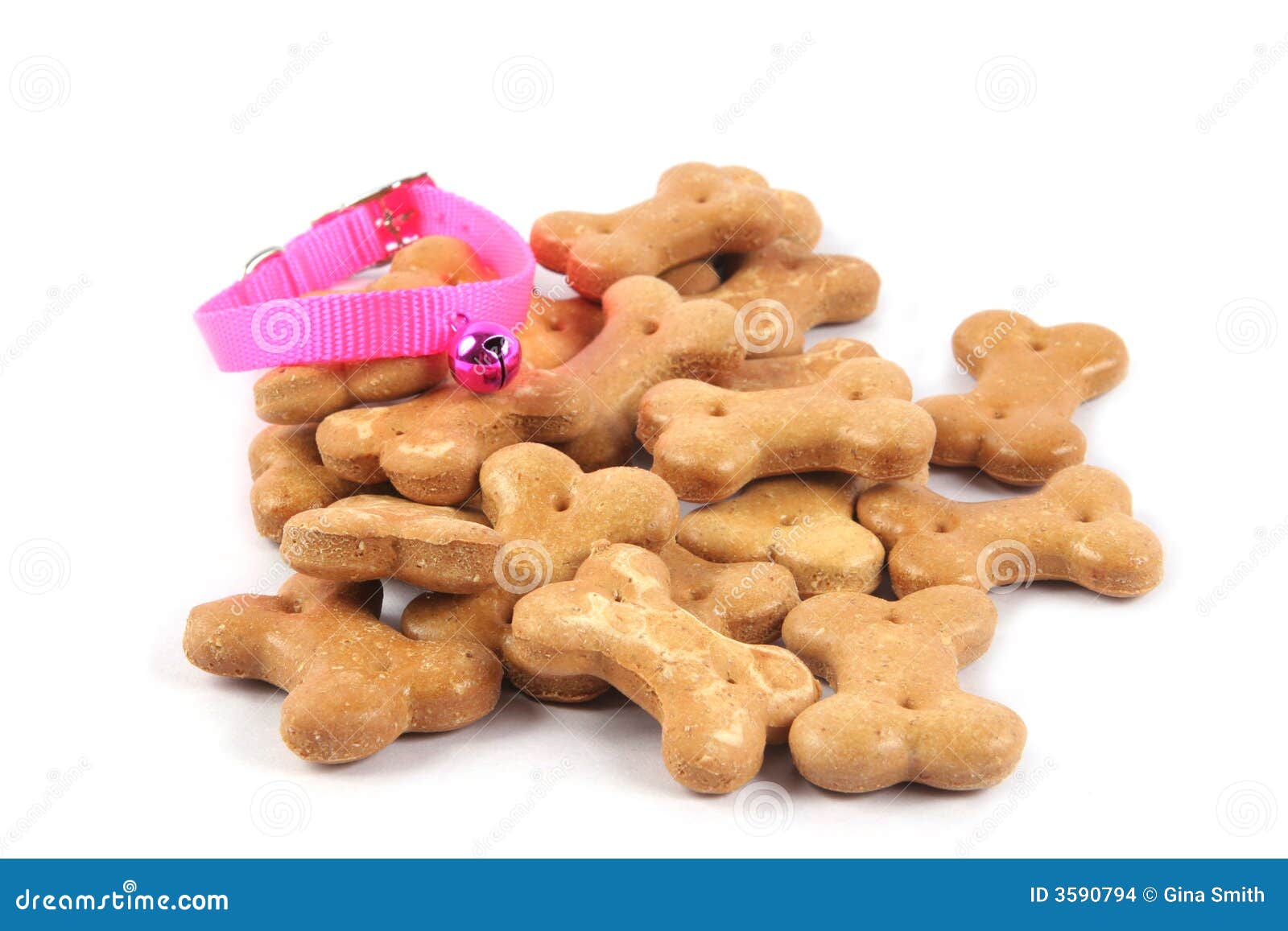 Aliment Pour Animaux Familiers Photo stock - Image du alimentation ...